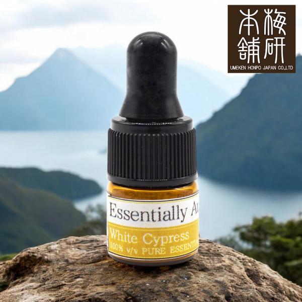 オーストラリア産のエッセンシャルオイル『ホワイトサイプレス』です。ホワイトサイプレスは、アロマセラピーの世界では 比較的新しく、感情を高揚させリフレッシュするために使用されます。強くフレッシュなレモンのようなパインの香りが特徴で、男性にも女...
