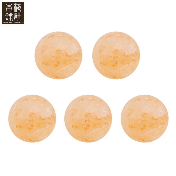天然ヒマラヤ岩塩をまるく削った直径約5cmのバスソルト岩塩ボール5個セットです。湯船に１つ入れて、バスソルトによる至福のバスタイムをお楽しみください。丸く削られているのでマッサージボールとしても重宝します。