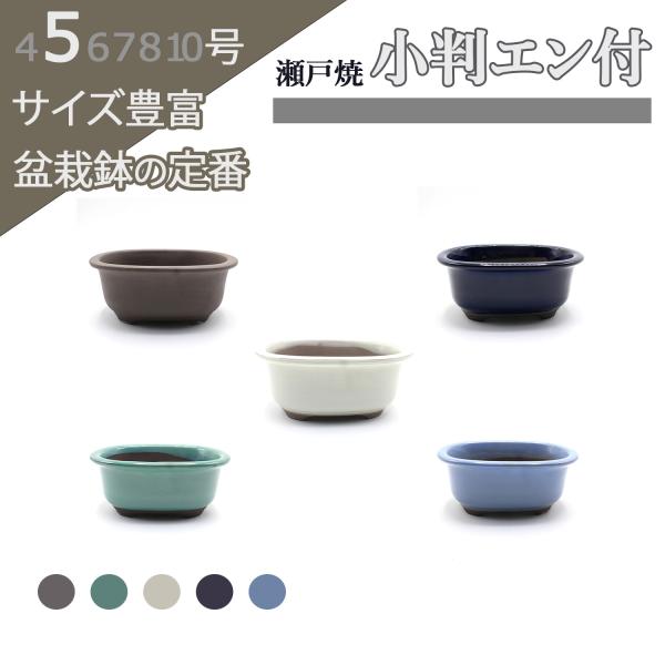 ベーシックな形状の鉢です。厚手であり丈夫です。縁があるため持ち運びしやすく、水やりの際に効率的にジョウロの水を集めます。胴は下部から縁にかけてすぼまっておらず、植え替えの際に根鉢を抜きやすくなっています。盆栽はもちろん、山野草や多肉、塊根植...