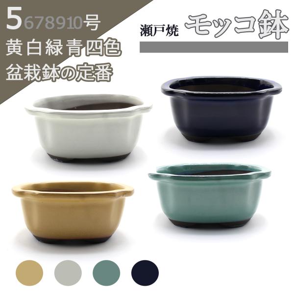 厚手で丈夫な作りの伝統的な形状の鉢です。上から見た縁の形は、モッコ（木瓜）です。縁は張り出しており、持ち運びしやすくなっています。排水穴は2ヶ所あり、また足についても十分な高さがあり、用土の健康的な乾きに貢献します。盆栽はもちろん、山野草や...