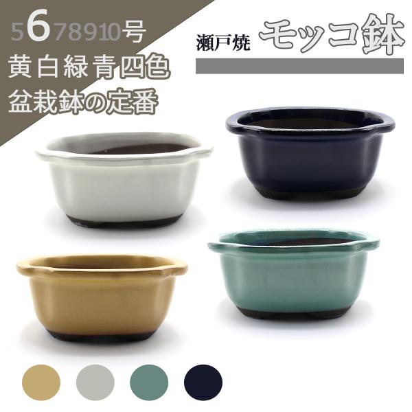 厚手で丈夫な作りの伝統的な形状の鉢です。上から見た縁の形は、モッコ（木瓜）です。縁は張り出しており、持ち運びしやすくなっています。排水穴は2ヶ所あり、また足についても十分な高さがあり、用土の健康的な乾きに貢献します。盆栽はもちろん、山野草や...