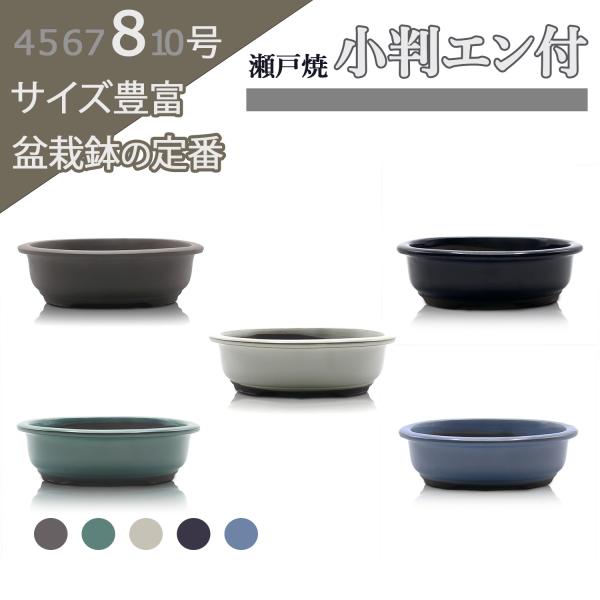 ベーシックな形状の鉢です。厚手であり丈夫です。縁があるため持ち運びしやすく、水やりの際に効率的にジョウロの水を集めます。胴は下部から縁にかけてすぼまっておらず、植え替えの際に根鉢を抜きやすくなっています。盆栽はもちろん、山野草や多肉、塊根植...