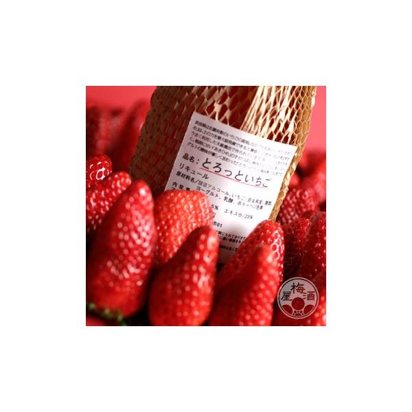 [季節限定]大粒のいちご果肉たっぷり、ほどよい酸味、そして、まったく裏切りもなく想像通りの甘さに男の子も感涙！牛乳と三温糖を少したして入れて凍らせると、一口サイズのいちごアイスができちゃいます。(by.KANNY)[酒蔵名]北岡本店[原材料...