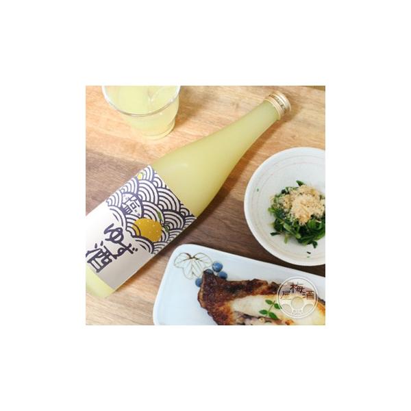 そのままでも美味しい柚子酒をもっとおいしくするために魔法のヒトツマミ。 1%国産の塩が入った塩ゆずと、塩なしゆずをスタッフで飲み比べてみたら、 全員が塩柚子のほうが甘いと答えました。うまみが引き立ち味がまとまって 「味に深み」を感じる不思議...