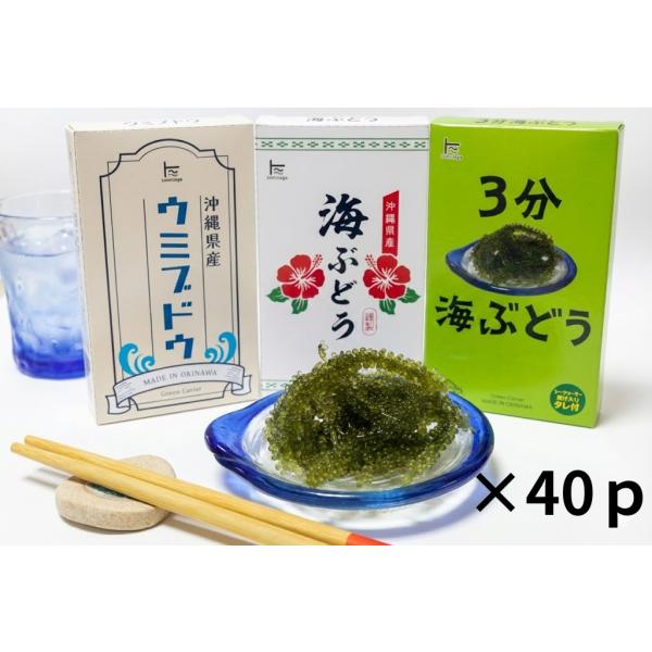 〜〜〜こちらの商品はA級品！塩水漬け海ぶどう50g×40ｐになります〜〜〜１パック食べきりサイズで水で戻すと膨らむ塩水漬け海ぶどうです。賞味期限は6か月ほどなので長期保存にも適しています。業務用！こちらの商品は自社にて製造しています水揚げ直...