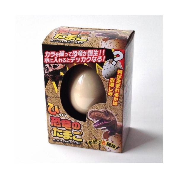 ふつうのたまごのように見えますが，これを水の中に入れておくと1〜2日でたまごのカラをやぶって恐竜が出現します。さらに数日そのままにしておくと，もとのたまごの大きさの3倍程度まで「成長」します。