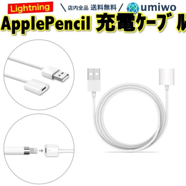 商品名：互換品 Apple Pencil 充電ケーブル 長さ1m 第1世代 Lightning端子 アップルペンシル 充電 ライトニング 交換 代替 シンプル 充電 コネクタ 変換 アダプタ Apple Pencil 充電ケーブルLight...