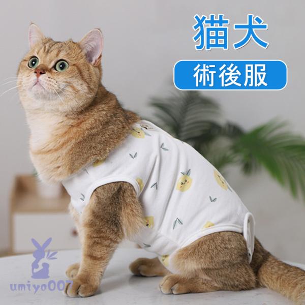 猫の皮膚病の治療中、その他術後の着用に大活躍間違いなしの術後服になります。伸縮性のある素材＆肌触りの良いコットン＆スパンデックス素材を採用する事により程よいフィット感を実現可能に。ストレスフリーな着心地と着脱はマジックテープ式で楽々♪また、...