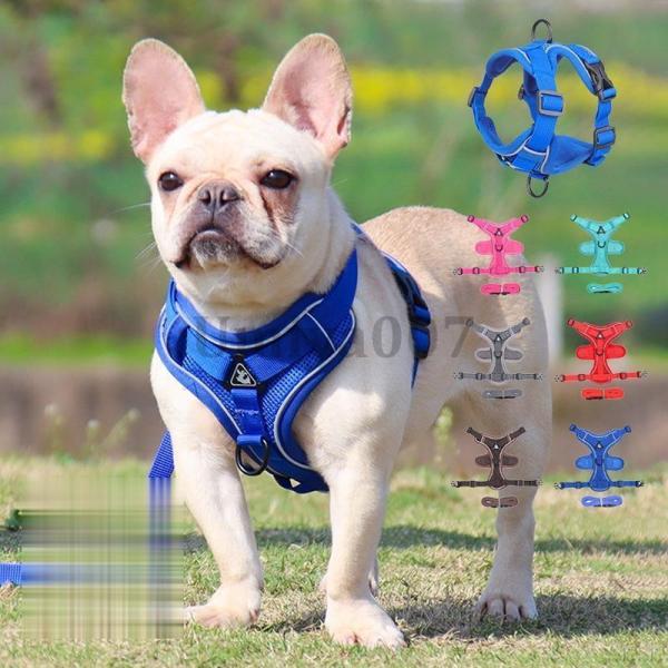 商品情報カラー ブルー コーヒー色 レッド グレー バラ色 レークブルーサイズ  胴回り（cm） 首回り（cm） 適用体重（kg） コード長さ（cm） 重さ（g）  S     30〜35cm     22〜26cm     1.5〜3kg...