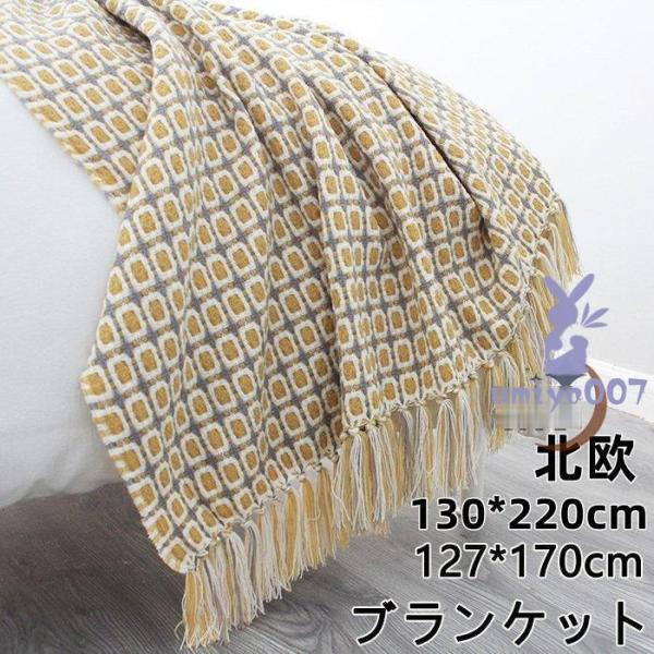 商品情報商品内容：ブランケット素材：アクリルサイズ(cm)：約127*170,130*220商品仕様【透け感】なし【裏地】なし【洗濯方法】 手洗い（洗濯機の手洗いコースでの洗濯はお避けください。押し洗いをして形を整え日陰干しにしてください。...