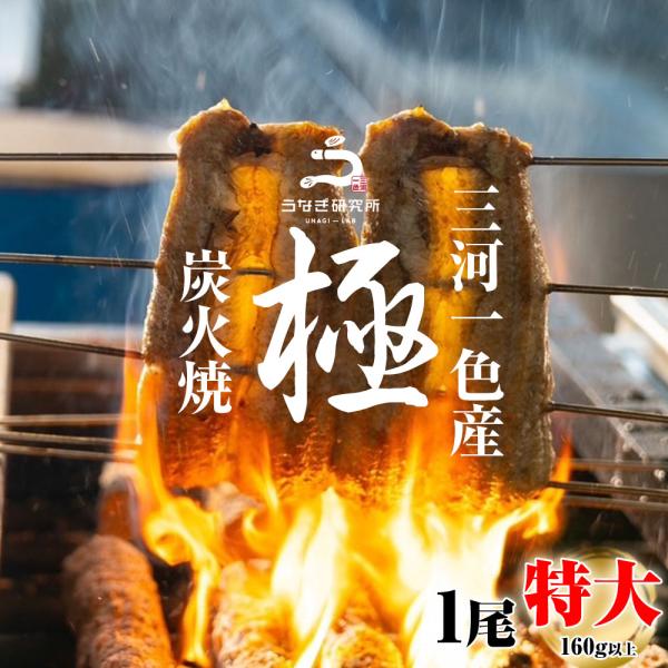 本商品は、地元三河一色産のうなぎを使用し、職人が一尾一尾を丁寧に備長炭で手焼きした極上の蒲焼きです。ふっくら肉厚で脂のりも良く、外は香ばしく中はとろける食感。焼き上がり後すぐに瞬間冷凍し、そのまま真空パック、旨味を逃さず専門店の味をご家庭で...