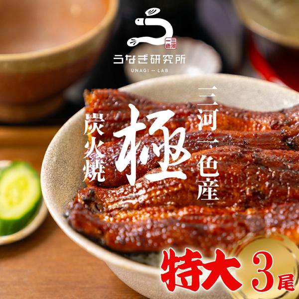 本商品は、地元三河一色産のうなぎを使用し、職人が一尾一尾を丁寧に備長炭で手焼きした極上の蒲焼きです。ふっくら肉厚で脂のりも良く、外は香ばしく中はとろける食感。焼き上がり後すぐに瞬間冷凍し、そのまま真空パック、旨味を逃さず専門店の味をご家庭で...