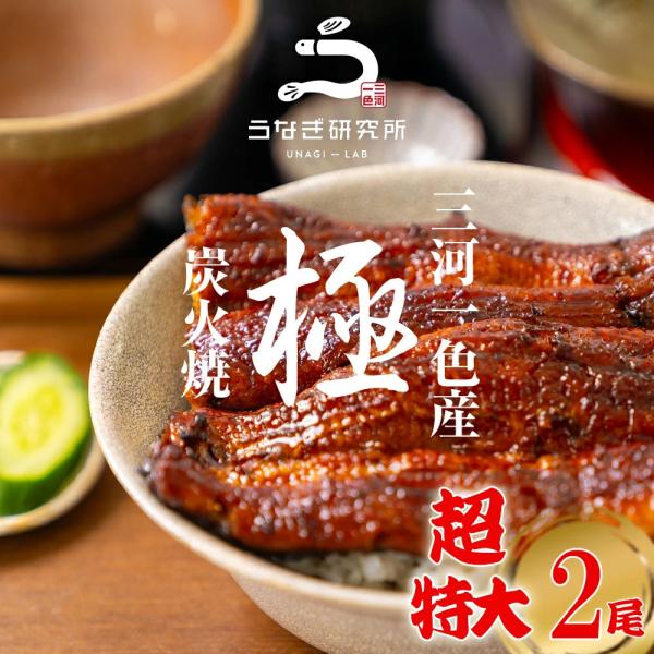 本商品は、地元三河一色産のうなぎを使用し、職人が一尾一尾を丁寧に備長炭で手焼きした極上の蒲焼きです。ふっくら肉厚で脂のりも良く、外は香ばしく中はとろける食感。焼き上がり後すぐに瞬間冷凍し、そのまま真空パック、旨味を逃さず専門店の味をご家庭で...