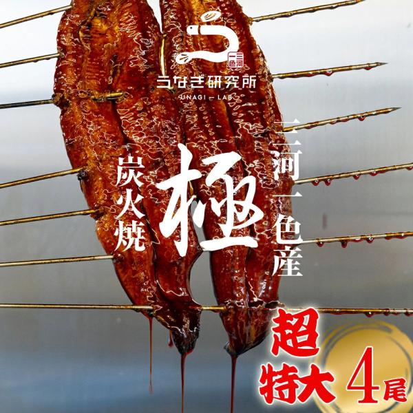 本商品は、地元三河一色産のうなぎを使用し、職人が一尾一尾を丁寧に備長炭で手焼きした極上の蒲焼きです。ふっくら肉厚で脂のりも良く、外は香ばしく中はとろける食感。焼き上がり後すぐに瞬間冷凍し、そのまま真空パック、旨味を逃さず専門店の味をご家庭で...