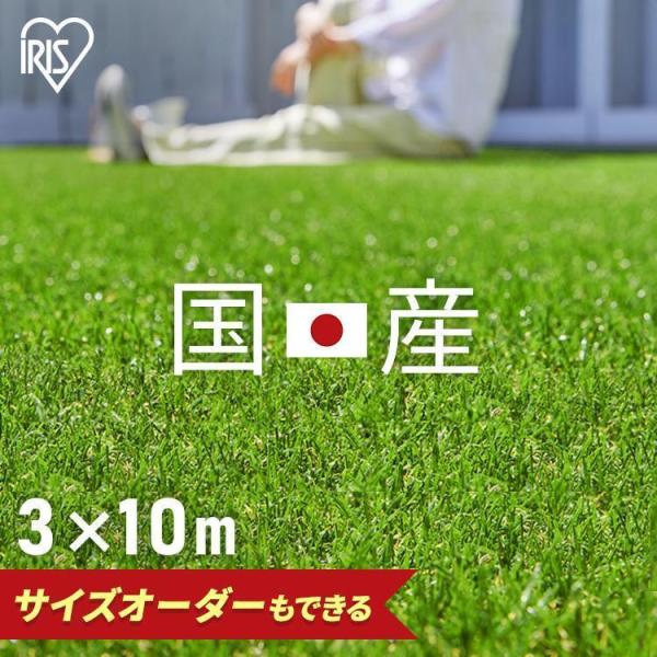 ※こちらの商品は代引き不可となりますのでご了承ください。 （検索用：人工芝 アイリスオーヤマ ガーデン メンテナンスフリー 4973271131208）