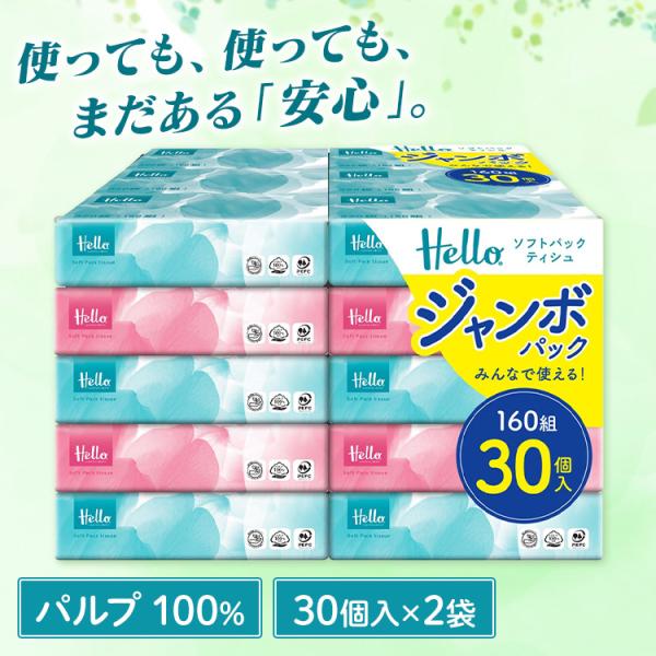 （検索用：ティッシュ ティッシュペーパー 箱なし ソフトパックティッシュ ハローティッシュ ソフトパック ティッシュ大容量 ソフトティッシュ まとめ買い 4582699252213）  ●翌日優良配送対象商品につきまして● 下記の場合は対象...