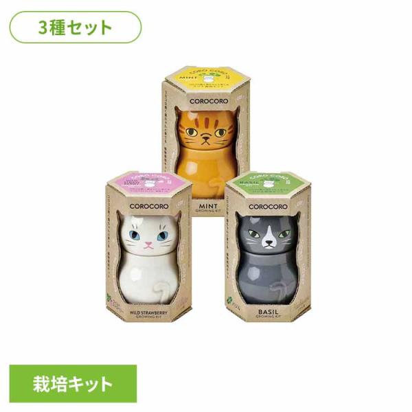 （検索用：栽培キット 栽培セット ミント バジル ワイルドストロベリー 聖新陶芸 COROCORO インテリア 陶器 SEISHIN ）●翌日優良配送対象商品につきまして●下記の場合は対象外となります。・13時以降(休業日は12時以降)のご...