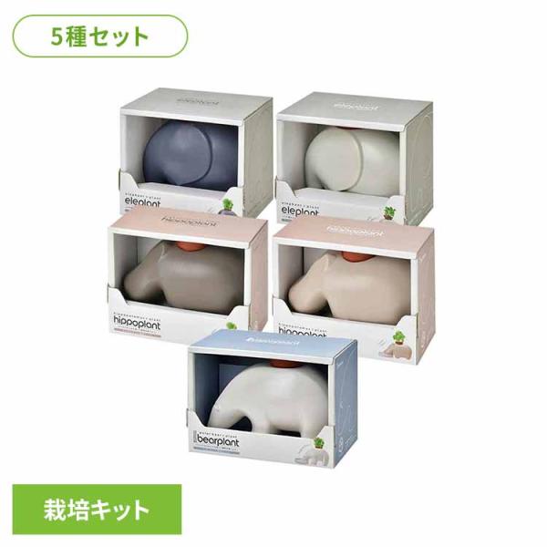 （検索用：栽培キット 栽培セット ハーブ 育てる アップルミント ペパーミント ワイルドストロベリー バジル 聖新陶芸 インテリア 瀬戸焼 ゾウ シロクマ カバ ）●翌日優良配送対象商品につきまして●下記の場合は対象外となります。・13時以...