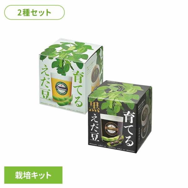 （検索用：栽培キット 栽培セット えだまめ 豆 聖新陶芸 SEISHIN ギフト ）●翌日優良配送対象商品につきまして●下記の場合は対象外となります。・13時以降(休業日は12時以降)のご注文の場合・お届け先が対象地域外の場合(離島も含む)...