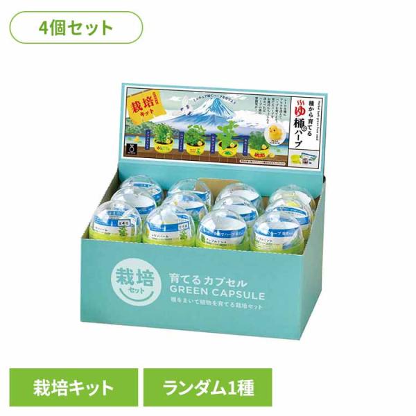 （検索用：栽培キット 栽培セット ハーブ 聖新陶芸 SEISHIN ミニ湯桶 あひるちゃん 香草 ランダム 4528757042259）●翌日優良配送対象商品につきまして●下記の場合は対象外となります。・13時以降(休業日は12時以降)のご...