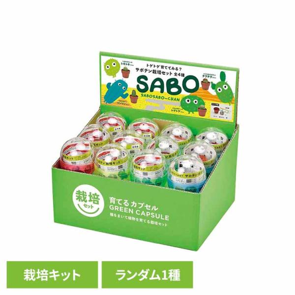 （検索用：栽培キット 栽培セット サボテン 聖新陶芸 SEISHIN ガチャ さぼてん ギフト トゲトゲ 4528757039013）●翌日優良配送対象商品につきまして●下記の場合は対象外となります。・13時以降(休業日は12時以降)のご注...