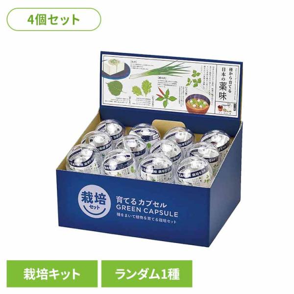 （検索用：栽培キット 栽培セット 薬味 聖新陶芸 SEISHIN やくみ 青じそ 三つ葉 ねぎ わさび菜 鷹の爪 ランダム 4528757039099）●翌日優良配送対象商品につきまして●下記の場合は対象外となります。・13時以降(休業日は...