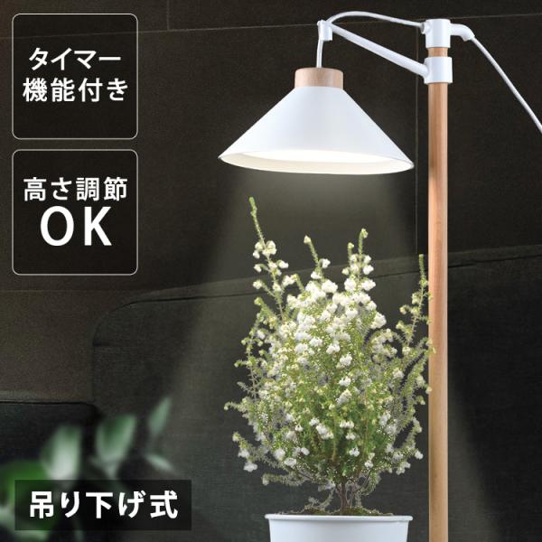 （検索用：植物育成 プラント 園芸 植物 観葉植物 開花 食用ハーブ 太陽光 光合成 ライト 4971275652408）●翌日優良配送対象商品につきまして●下記の場合は対象外となります。・13時以降(休業日は12時以降)のご注文の場合・お...