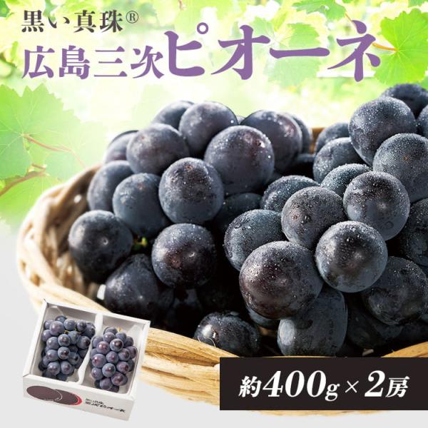 （検索用：ぶどう 広島 果物 ピオーネ 爽やか 黒い真珠 三次 ）●翌日優良配送対象商品につきまして●下記の場合は対象外となります。・13時以降(休業日は12時以降)のご注文の場合・お届け先が対象地域外の場合(離島も含む)・決済完了確認にお...