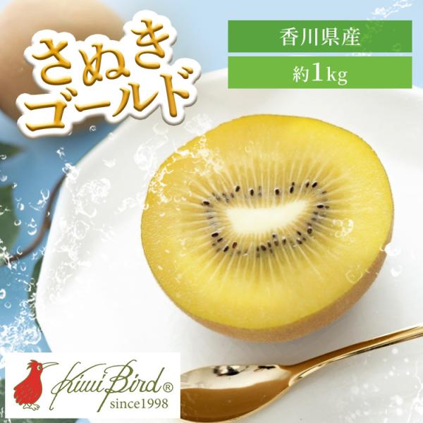 （検索用：キウイ お取り寄せ 直送 新鮮 ビタミン 朝食 フルーツ 贈り物 ）●優良配送・届け日指定対象商品につきまして●下記の場合は対象外となります。・13時以降(休業日は12時以降)のご注文の場合・お届け先が対象地域外の場合(離島含む)...
