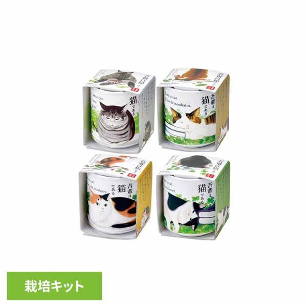 （検索用：栽培キット 栽培セット ミント レモンバーム ワイルドストロベリー クローバー 聖新陶芸 ねこデザイン インテリア SEISHIN 4528757042105 4528757042099 4528757042082 4528757...