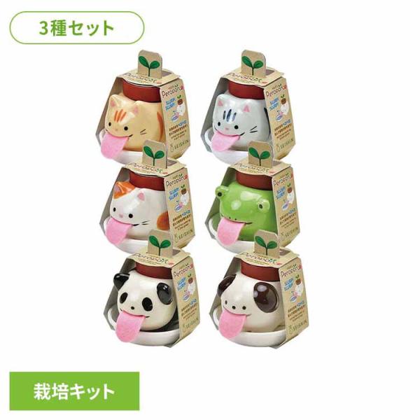 （検索用：栽培キット 栽培セット クローバー バジル ミント ワイルドストロベリー animals cats 陶器 聖新陶芸 インテリア SEISHIN ）●翌日優良配送対象商品につきまして●下記の場合は対象外となります。・13時以降(休業...