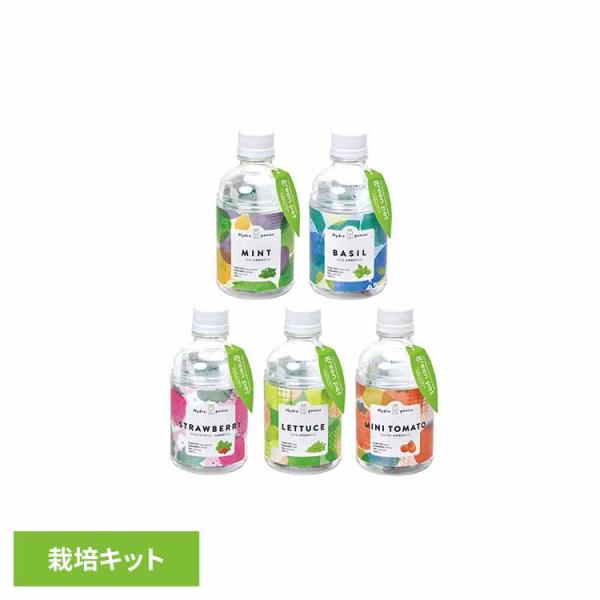 （検索用：栽培キット 栽培セット 水耕栽培 聖新陶芸 SEISHIN ハーブ 野菜 ミニ菜園 ペットボトル型 4528757040989 4528757040972 4528757040965 4528757040958 452875704...
