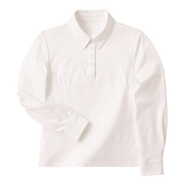 メーカー：ハネクトーン早川品番：WP355商品名：長袖きれいポロ　天竺性別：レディース季節：オールシーズン素材：ポリエステル50%綿50%洗濯機OK　ストレッチ　吸汗　ノーアイロン上質感はそのままに、やさしい肌触りを追求さわやかな肌触りの綿...