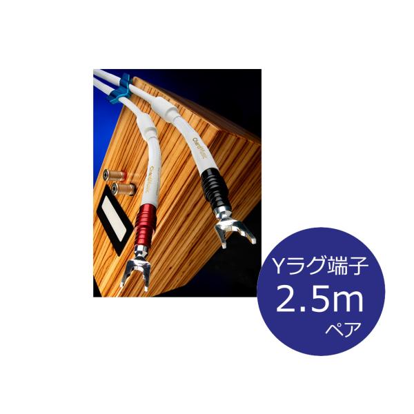 【発売日：2019年08月04日】ChordMusic Speaker Cable-Ohmic 2.5m THE CHORD COMPANY スピーカーケーブル コード ザ・コード・カンパニー スピーカー Yラグ