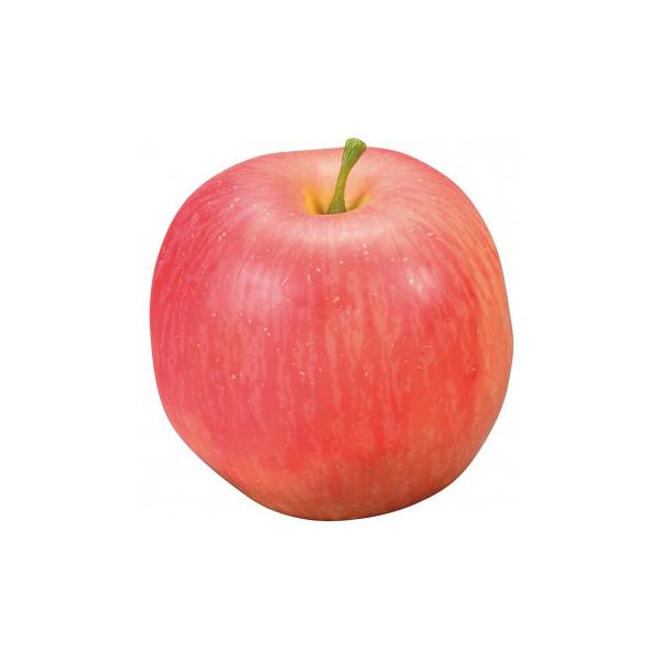 本物と同じ質感のイミテーションの果実です。