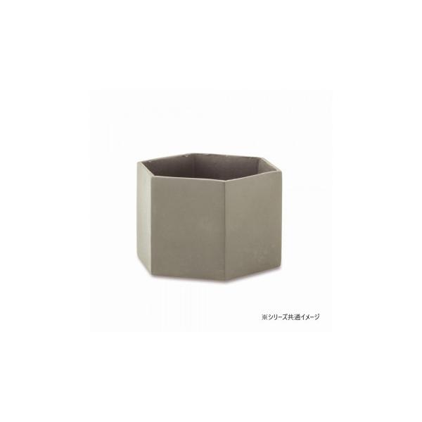 ブルータポットです。