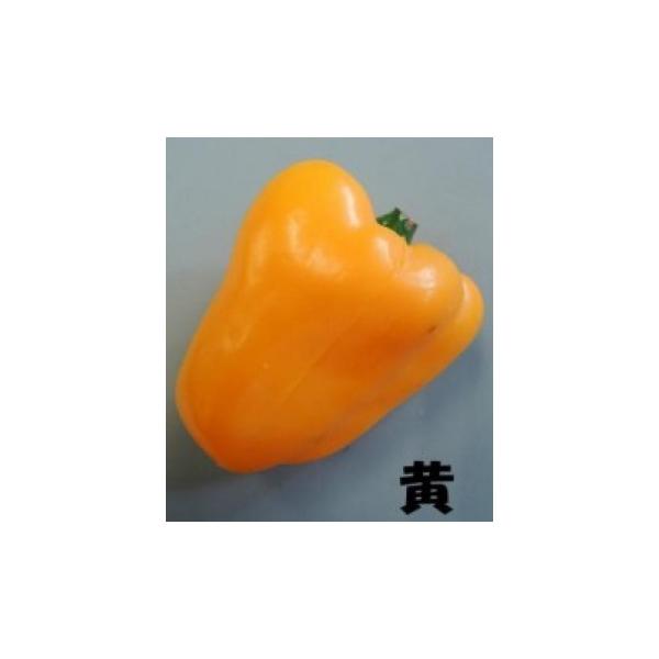 日本職人がつくる食品サンプル。本物と見間違えるほどのクオリティーです。