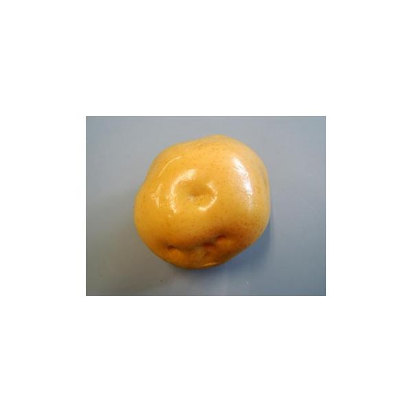 日本職人がつくる食品サンプル。本物と見間違えるほどのクオリティーです。