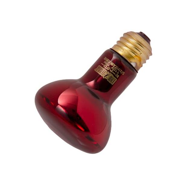 75W無し/-/b-af-6ra-019141・Style:75W・パッケージ個数:1・本体サイズ(幅X奥行X高さ):6.5×6.5×10cm・カラーガラスを使用した、赤外線を照射するスポットランプです。 生体には見えにくい赤い光で、昼夜を...