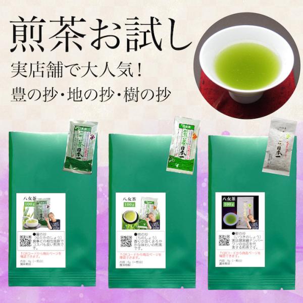 お茶 お試し 送料無料 3種類の八女茶 1商品6g入り 一煎パックで飲み比べに便利 メール便 豊の抄 地の抄 樹の抄 緑茶 日本茶 茶葉 深蒸し茶 煎茶 ポスト投函 ポイント消化 通販 カテキン 冷茶 深むし 国産 九州産 鵜ノ池製茶