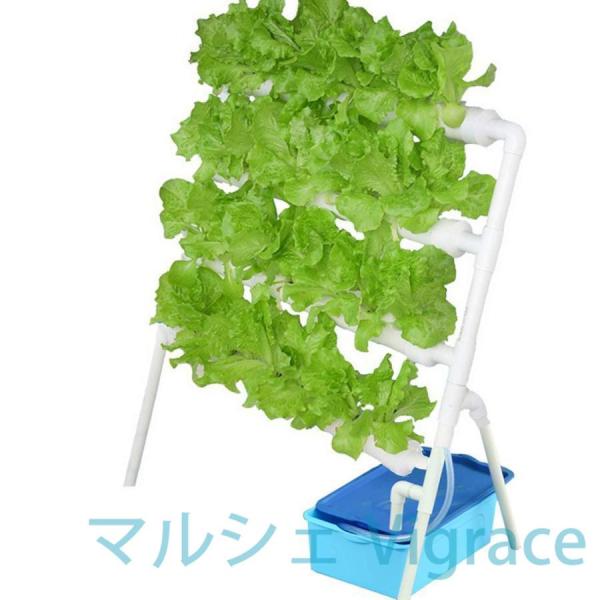 水耕栽培キット すいこう栽培キット 野菜 栽培キット 室内 いちご 家庭菜園 水耕栽培セット プランター 36穴