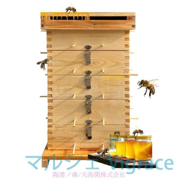 ★ユニークなデザイン:蜂の巣巣礎を必要としない 竹串で代用する 蜂蜜を取るのは簡単で、繰り返し取り出す必要がなくて、ミツバチに対する妨害を減らします ★より安全:養蜂箱網の設計があり、外の昆虫から蜂を守ることができます 掃除はもっと便利で、...