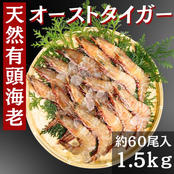 ◎クリスマス料理、おせち料理、お祝い行事に！美味しくて、美しい海老をご用意致しました！◎オーストラリアの澄んだ海で漁獲し、直ぐに凍結された自然そのままの天然海老です！◎縞模様がとてもキレイで味も抜群！◎「天然海老でしか味わえない海老本来の旨...