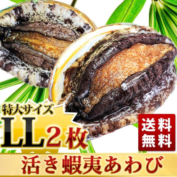 名称・内容量・サイズ：活蝦夷あわび（120/130ｇ）2枚※出荷時の1枚あたり重量目安：約130g（殻の大きさ目安：10cm×6.5cm）※殻は季節により、同じ重量でも、肉が厚くなったり殻が大きくなったりして、大小します。また、極力130g...