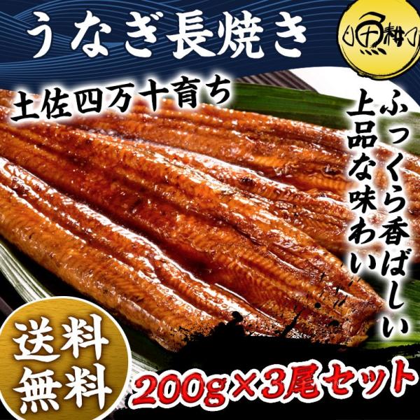 よく脂がのった肉厚とろ〜り上品な味わいとろけるような旨みと上品なあじわい【海鮮/ギフト/国産/蒲焼き/うなぎ/ウナギ/鰻/特大/3尾/土用丑の日/土用の丑の日/土用の丑/肝吸い/食品ロスを減らそう】