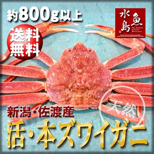 ◆希少な極上品を獲れたて直送!!◆「活生」なので濃厚な旨み・甘味がたっぷり。■原材料/新潟・佐渡産 本ズワイ蟹■内容量/特大800g以上 1杯■保存方法/要冷蔵■賞味期限/お届け日の翌日まで■市場休み（日・祝・その他不定休）の場合は発送もお...