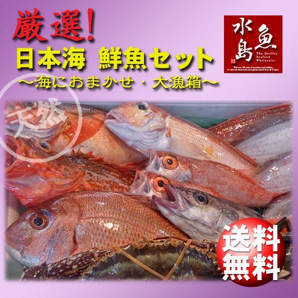 ◆日本海で獲れた鮮魚を厳選、プロが考え抜いた当日最高の詰め合わせ!!◆早朝獲れたばかりの魚を数時間後にはストアから発送!!■「日替り」のため、写真は一例となります。■魚の種類とオススメの調理法など簡単な説明書を同梱します。■下処理（内蔵処理...