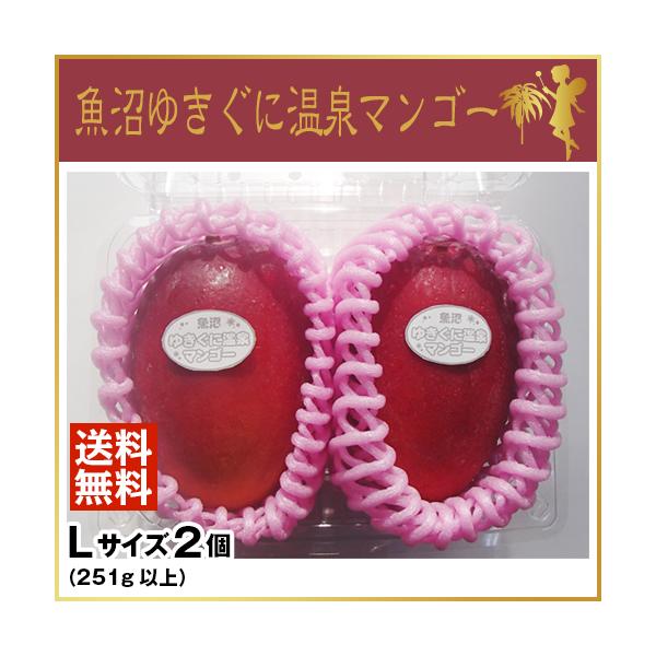 【発売日：2015年06月01日】【令和8年の販売予約を開始しました。】温泉熱を利用してつくった、環境に優しい完熟マンゴー。新潟・南魚沼で栽培された珍しい一品。ご贈答用にもどうぞ。糖度はなんと18度以上。とびきりの甘さです。品種はアーウィン...