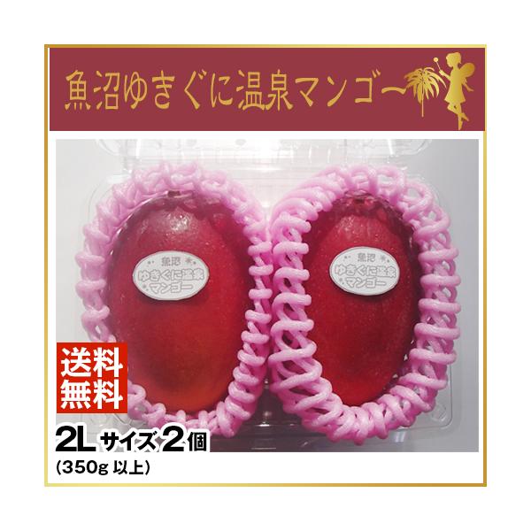 【発売日：2015年06月01日】【令和8年の販売予約を開始しました。】温泉熱を利用してつくった、環境に優しい完熟マンゴー。新潟・南魚沼で栽培された珍しい一品。ご贈答用にもどうぞ。糖度はなんと18度以上。とびきりの甘さです。品種はアーウィン...