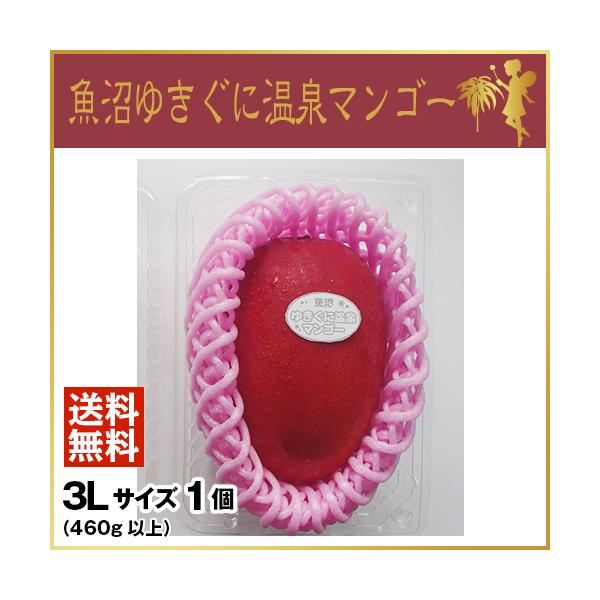 【発売日：2015年06月01日】【令和8年の販売予約を開始しました。】温泉熱を利用してつくった、環境に優しい完熟マンゴー。新潟・南魚沼で栽培された珍しい一品。ご贈答用にもどうぞ。糖度はなんと18度以上。とびきりの甘さです。品種はアーウィン...